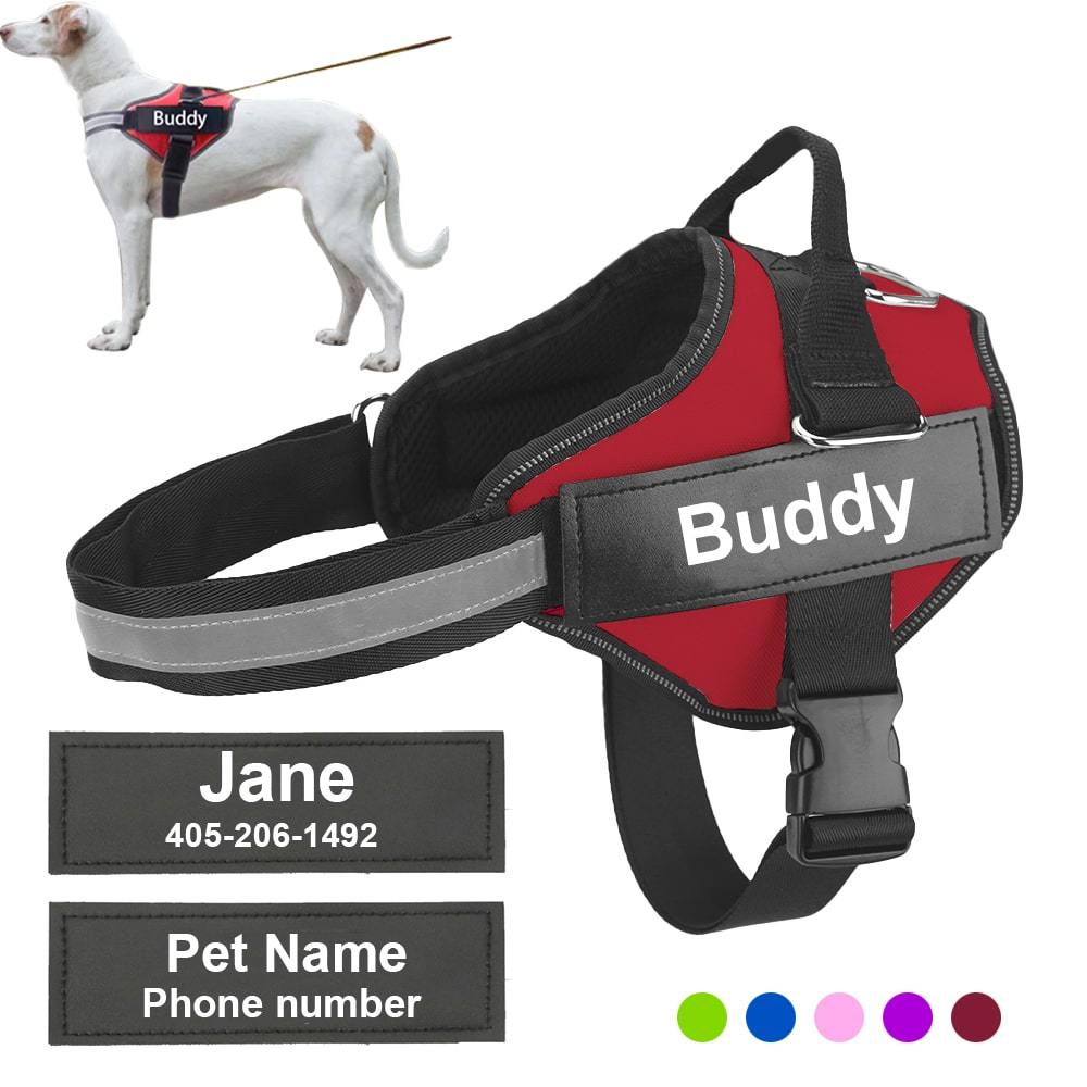 Premium Personalized Dog Harness – Barking Meows
